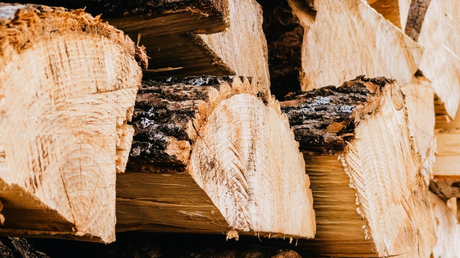 Biomass Heating: A Sustainable Approach to Warming Your Home | Energy ...